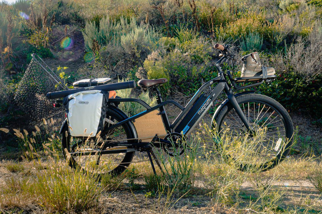 The Ultimate Guide to Choosing the Right Electric Bike Online for Illi