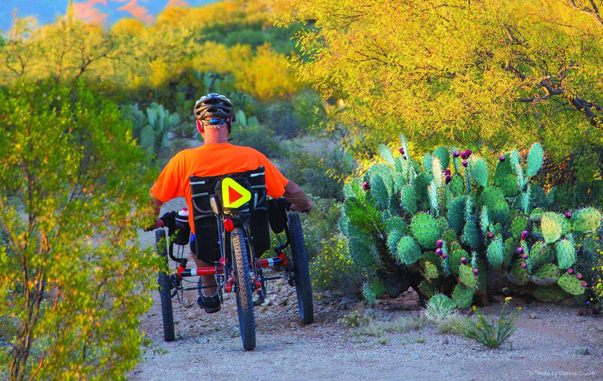 TerraTrike Rambler All-Terrain Recumbent Trike — Voltaire Cycles of ...